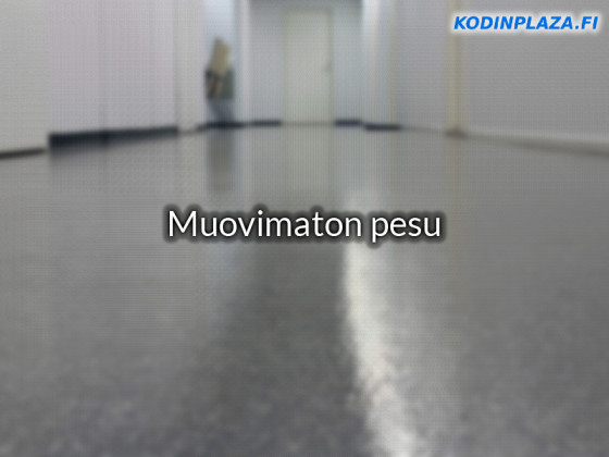 Muovimaton Pesu – Kilpailuta Ja Säästä Jopa 30 %